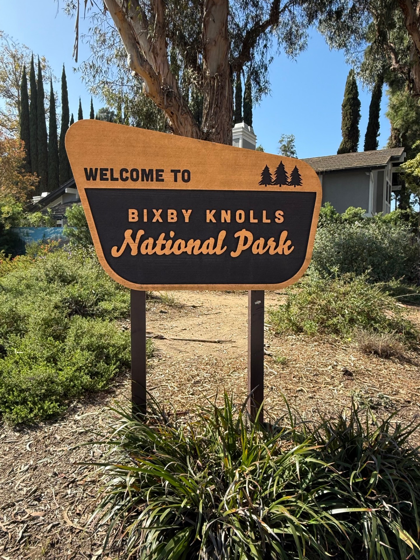 Bixby Knolls National Park – 635 Gardening